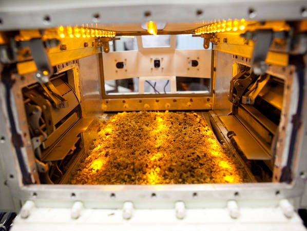 Stotinu živih organizama mjesec dana u kosmosu - PCNEN