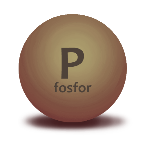 Čovječanstvo ostaje bez ključnog resursa - PCNEN