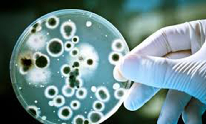 CG: Aktivne epidemije gripa i velikog kašlja - PCNEN