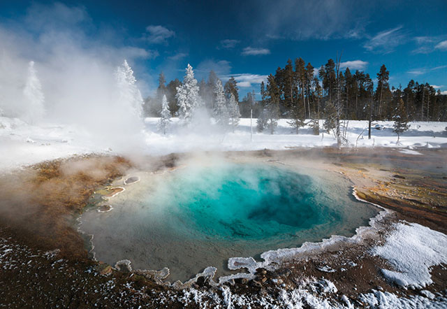 Bakterija ‘cinkari’ virus COVID-19 - PCNEN