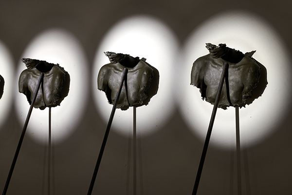 Otvorena izložba Jovane Vujović - PCNEN