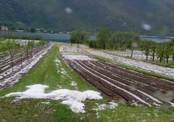 Olujno nevrijeme s gradom pogodilo okolinu Nikšića (video) - PCNEN
