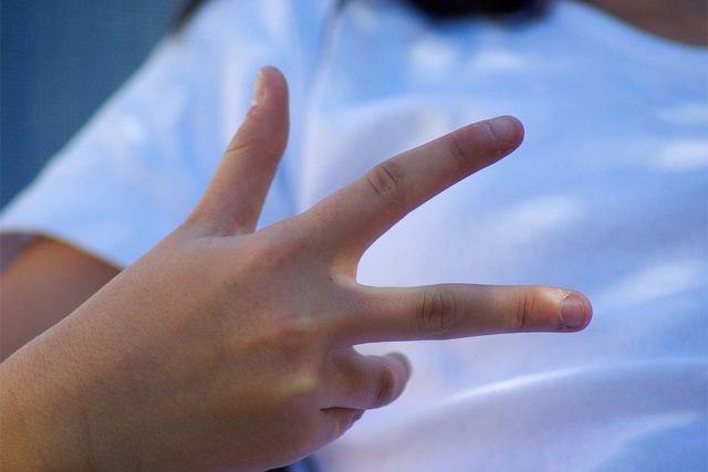 BiH: Usvojena deklaracija kojom se osuđuje dizanje tri prsta - PCNEN